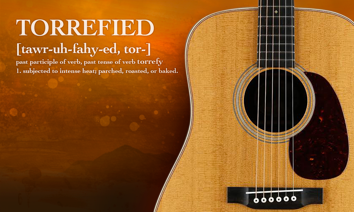 What is a "Torrefied" Guitar Top? | Gryphon Strings