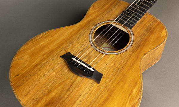Taylor GS Mini – Gryphon Strings