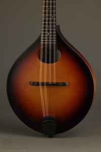 Guitars, Banjos, Mandolins + more: Gryphon Stringed Instruments ...