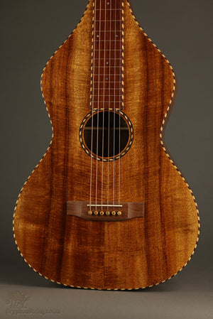 Guitars, Banjos, Mandolins + more: Gryphon Stringed Instruments ...