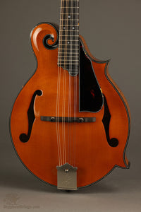 Guitars, Banjos, Mandolins + more: Gryphon Stringed Instruments ...